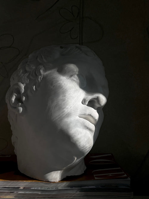 Italian Male in Plaster - The Oblist